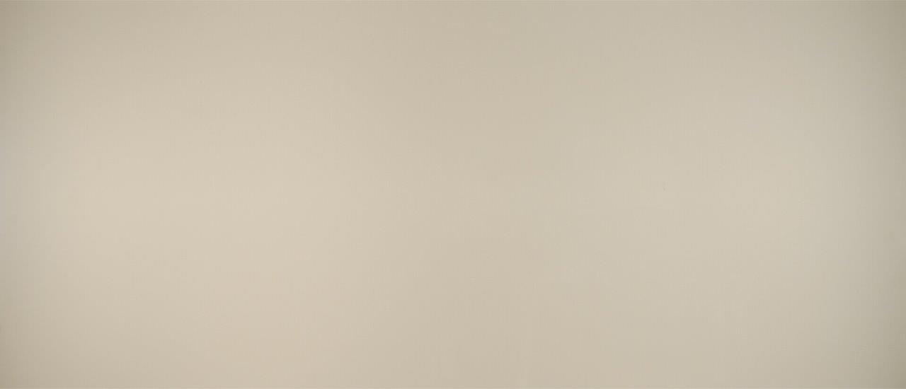 Cosmos - Soares Stone Countertops